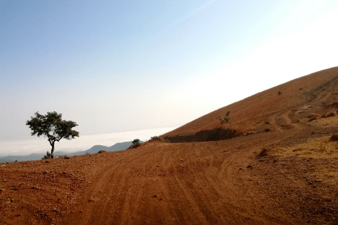 Color Combination From the Soil - Canva's Design Wiki