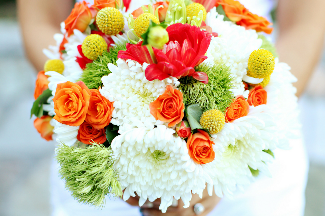 Color Combination Floral Bundle - Canva's Design Wiki