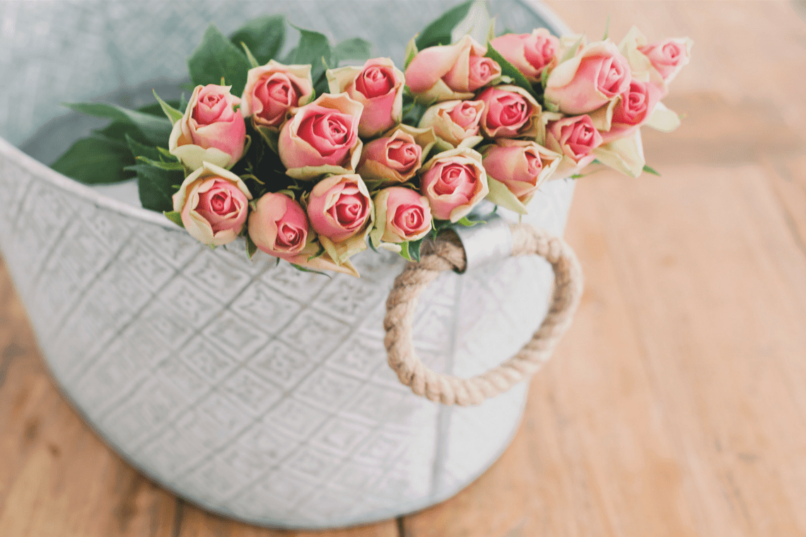 Color Combination Natural Flush - Canva's Design Wiki