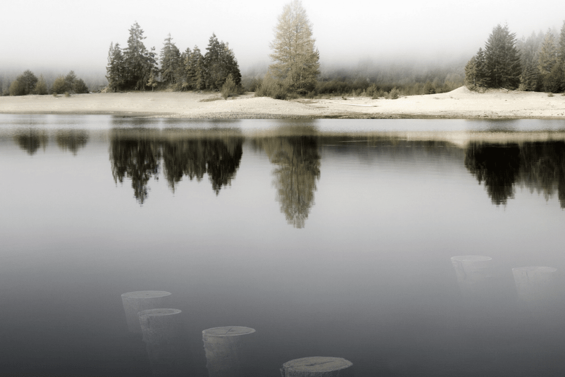 Color Combination Forest Lake - Canva's Design Wiki