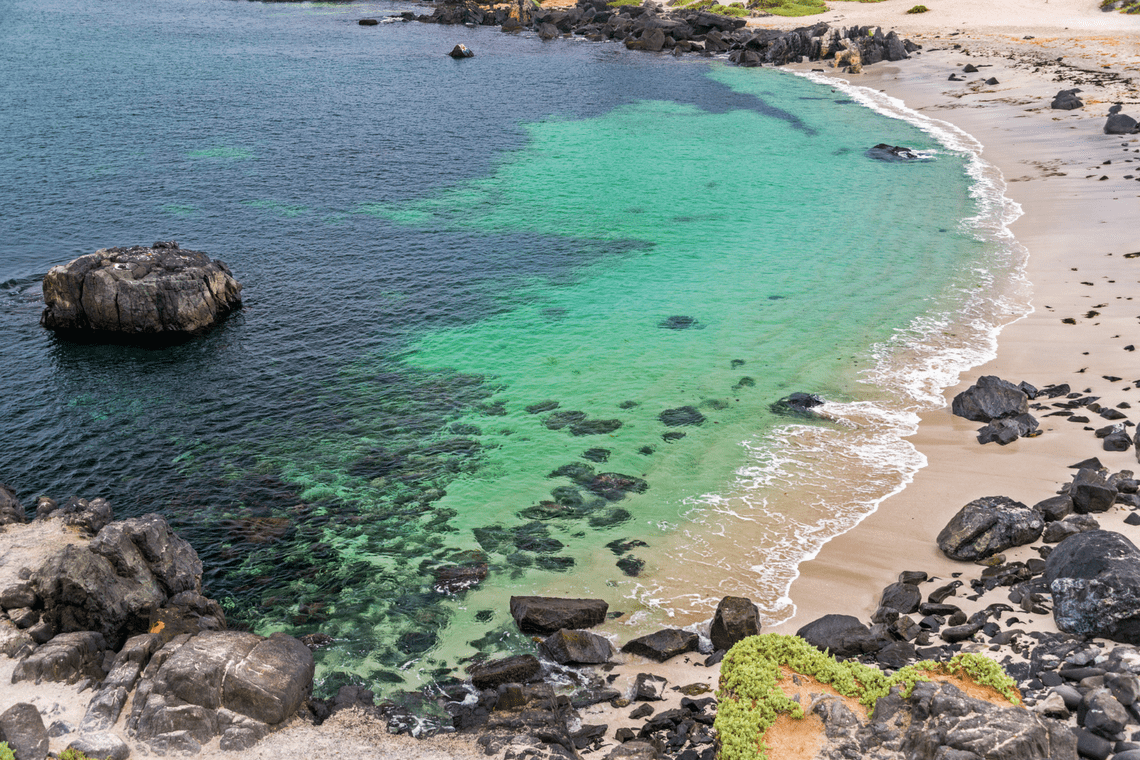 Color Combination Rocky Shores - Canva's Design Wiki