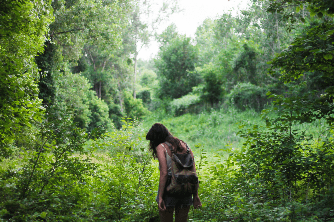 Color Combination Fresh Foliage - Canva's Design Wiki