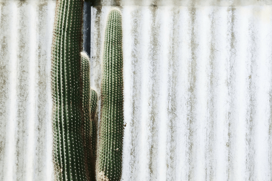 Color Combination Metal and Spikes - Canva's Design Wiki