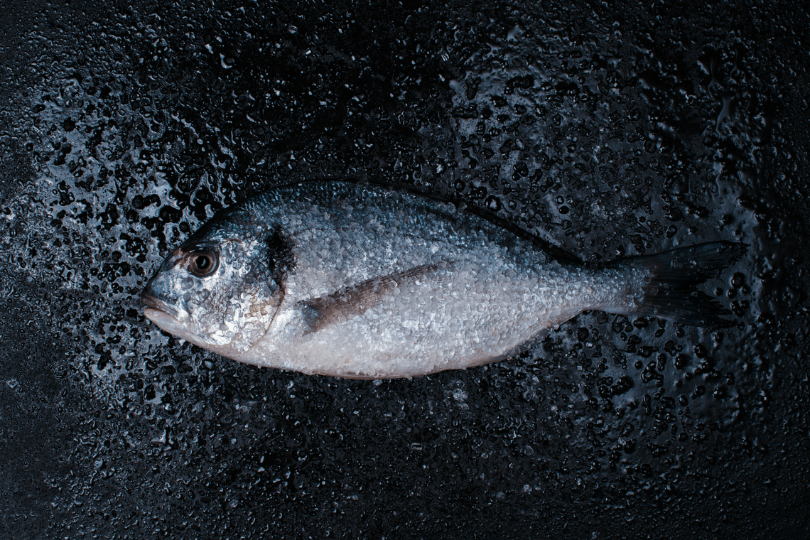 Color Combination Flatfish Market - Canva's Design Wiki