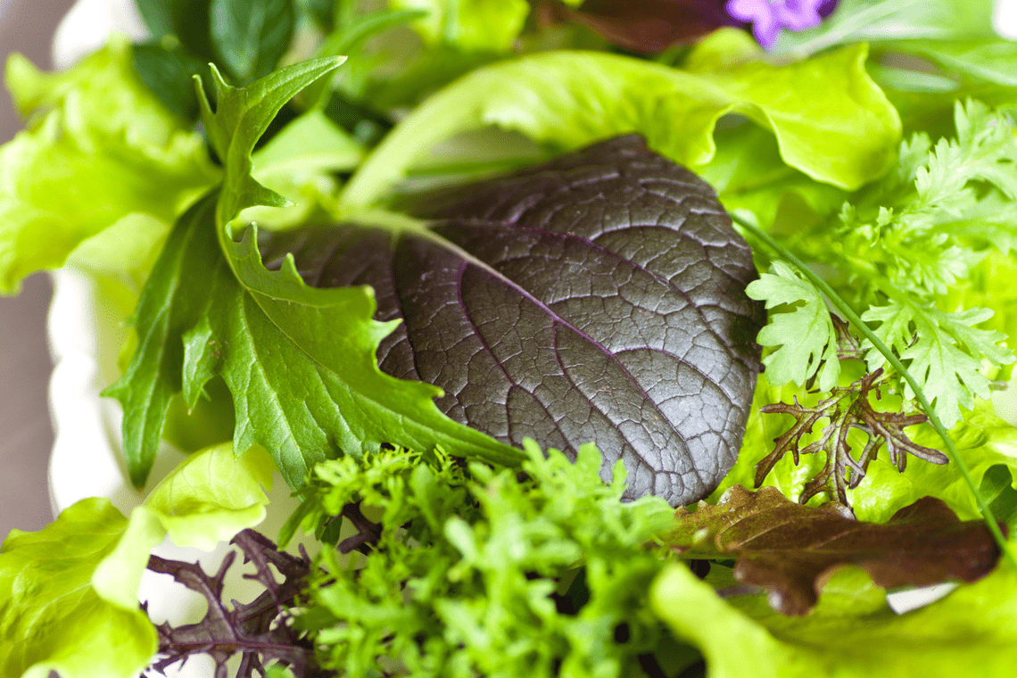 Color Combination Edible Goodness - Canva's Design Wiki