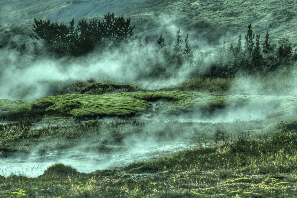 Color Combination Mists of Marshes - Canva's Design Wiki