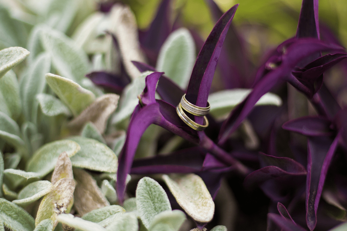 Color Combination Rings and Thorns - Canva's Design Wiki