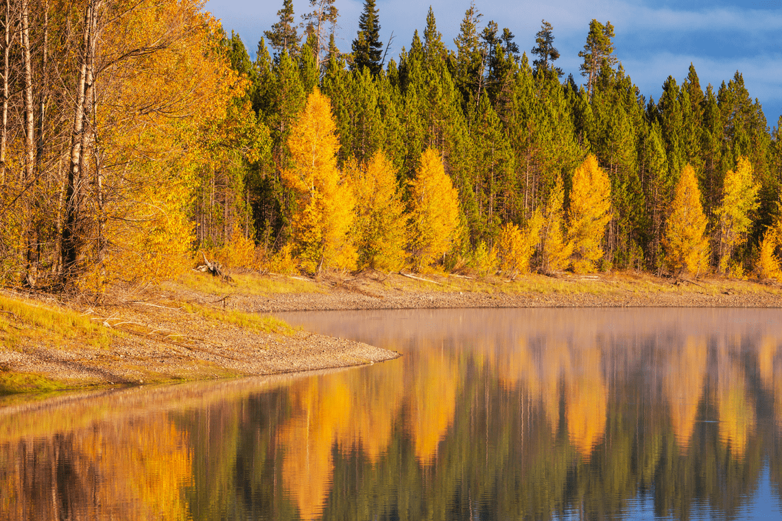 Color Combination Treeline Waterline Autumn - Canva's Design Wiki