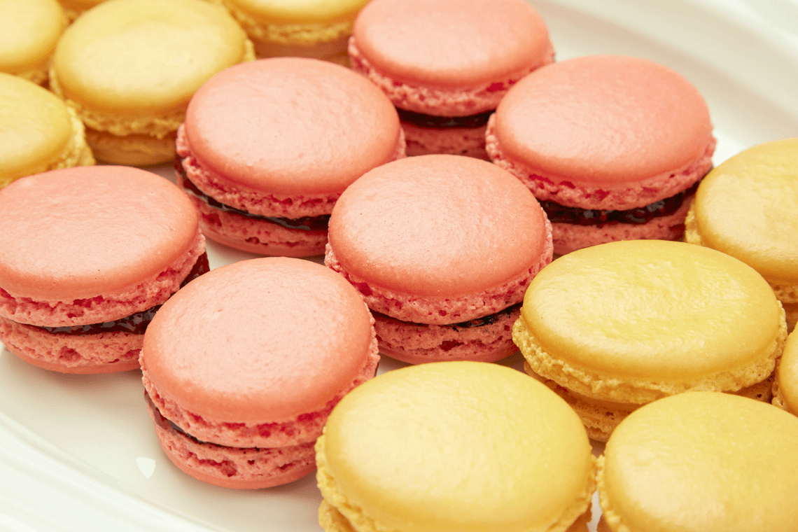 Color Combination Coral Goodies - Canva's Design Wiki