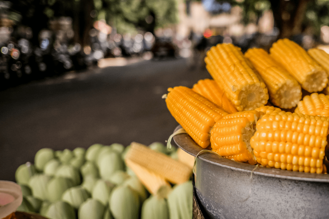 Color Combination Sweet Corn Road - Canva's Design Wiki