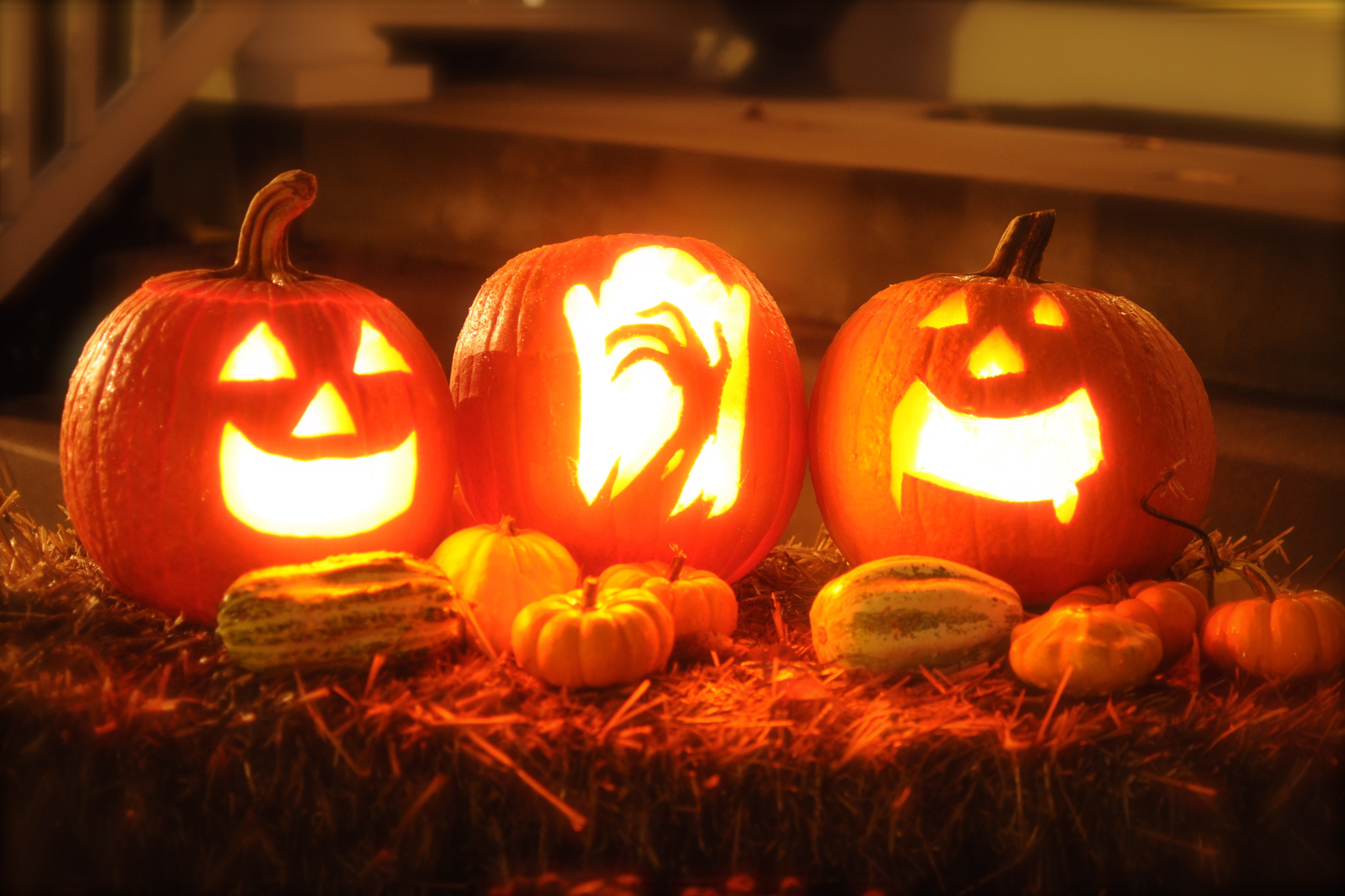 50+ Pumpkin Ideas - Canva