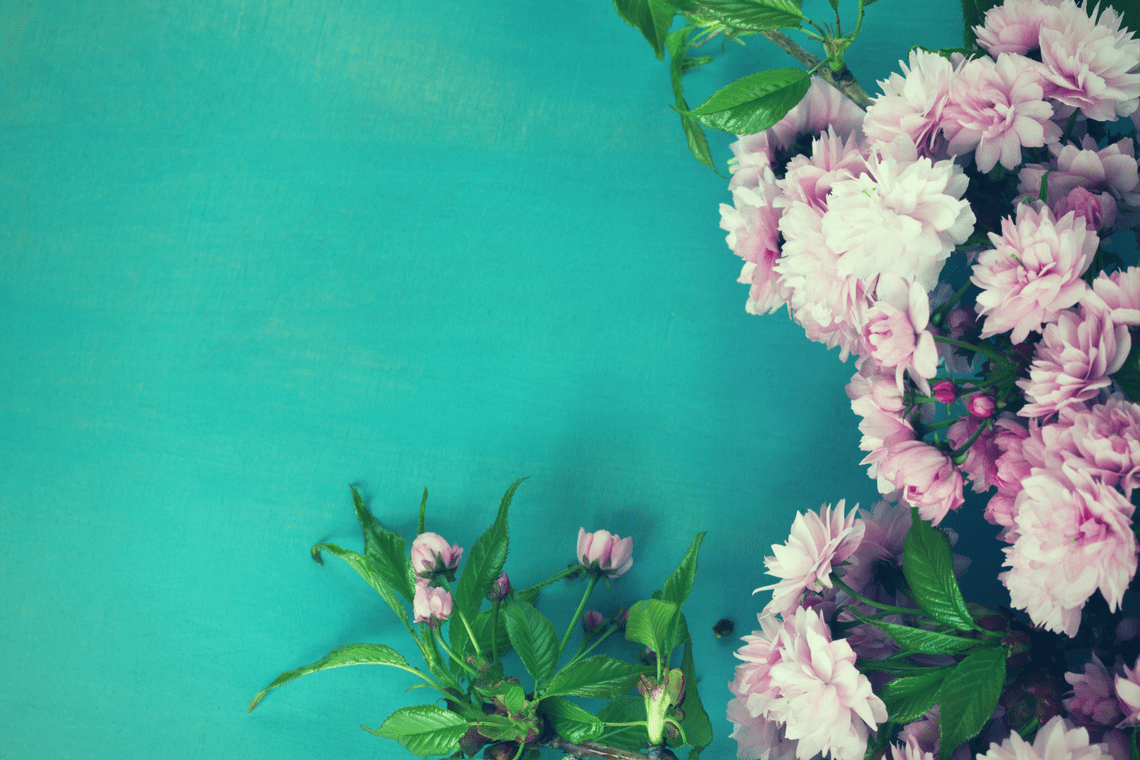 Color Combination Floral Flurry - Canva's Design Wiki