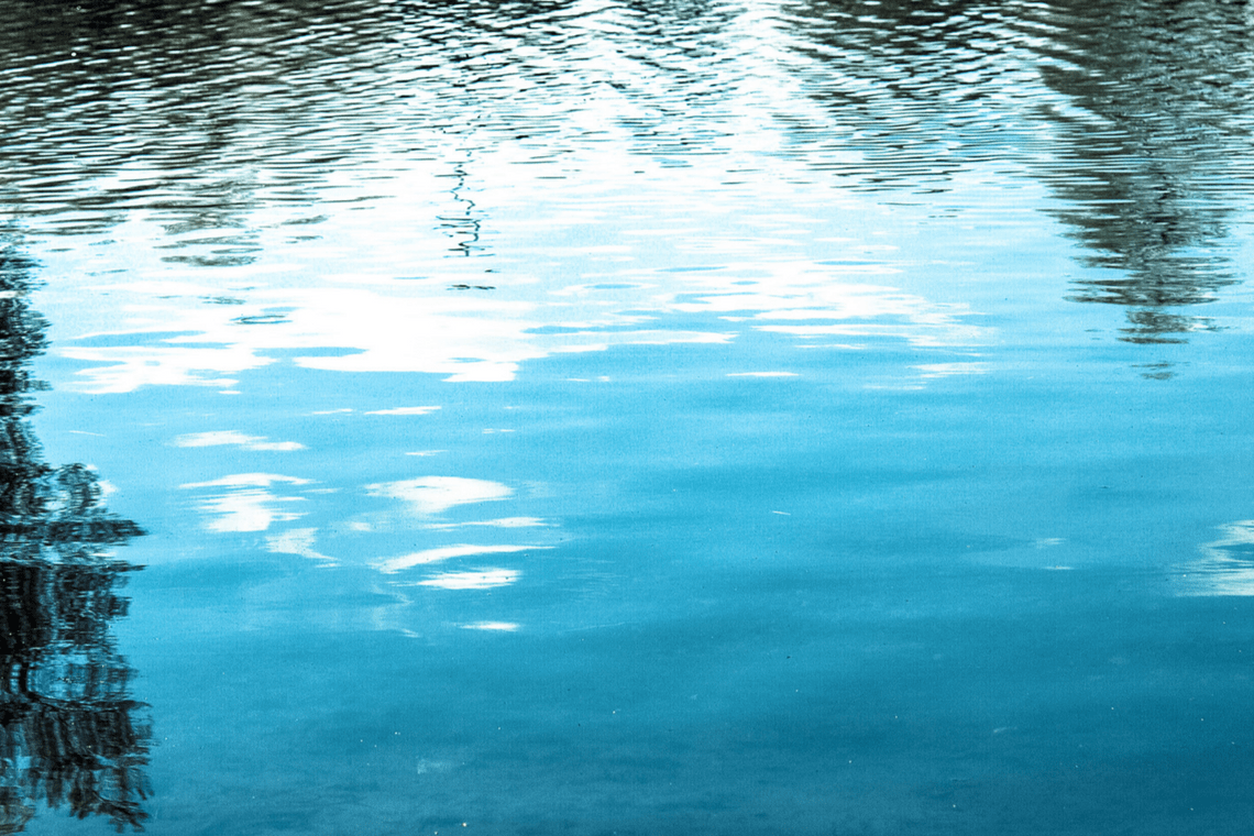 Color Combination Shallow Waters - Canva's Design Wiki