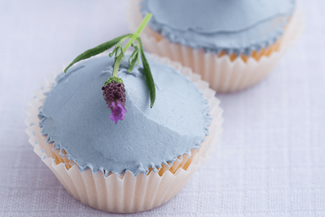 Color Combination Flower Cupcakes - Canva's Design Wiki