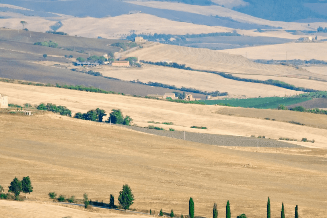 Color Combination Countryside Calm - Canva's Design Wiki