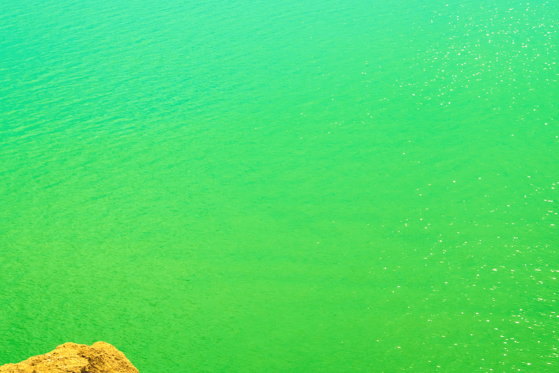 Color Combination Ready to Jump - Canva's Design Wiki