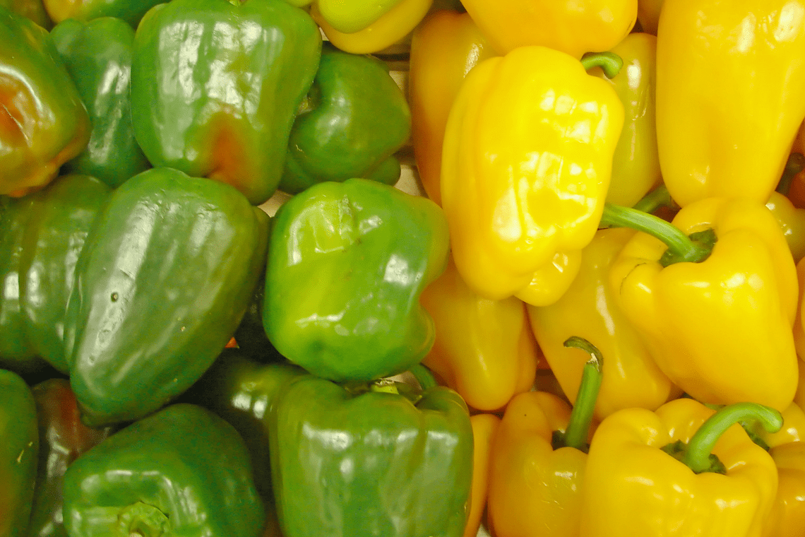 Color Combination Fresh Peppers - Canva's Design Wiki