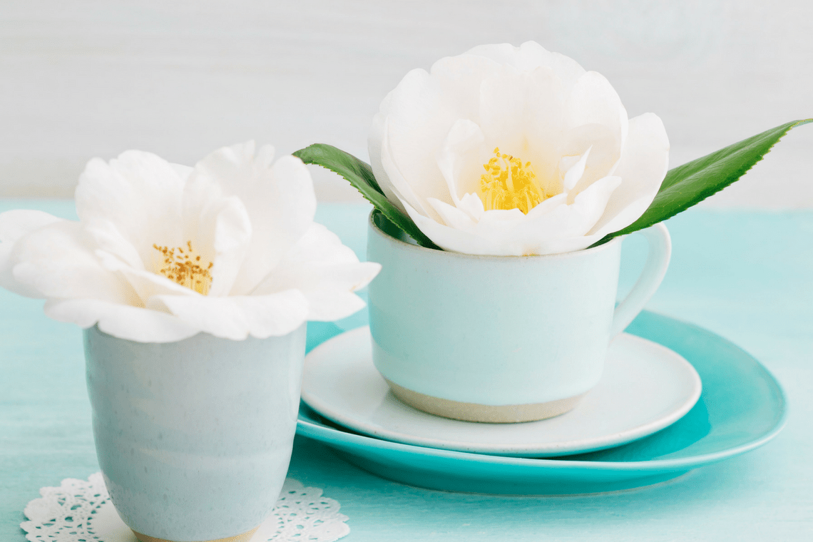 Color Combination Flowers in Cups - Canva's Design Wiki