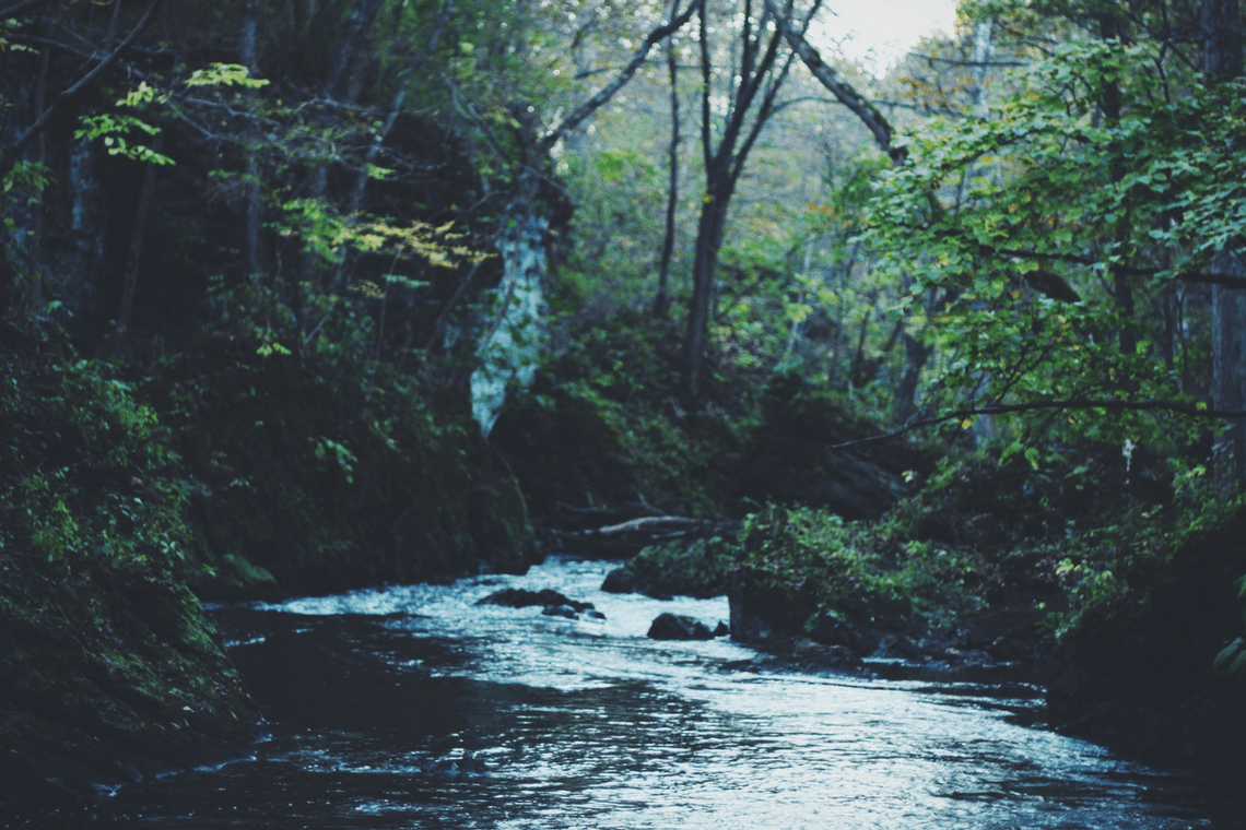 Color Combination River Flow - Canva's Design Wiki