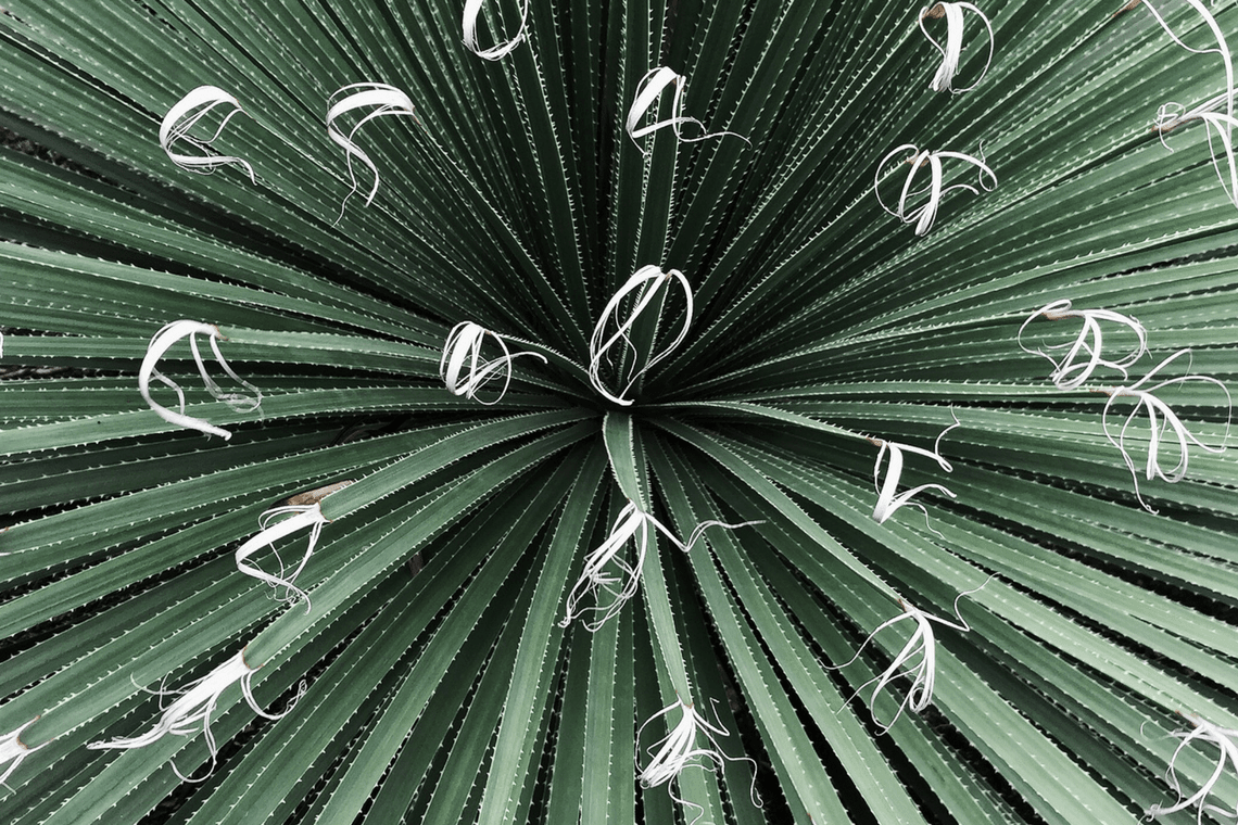 Color Combination Shade Tree - Canva's Design Wiki