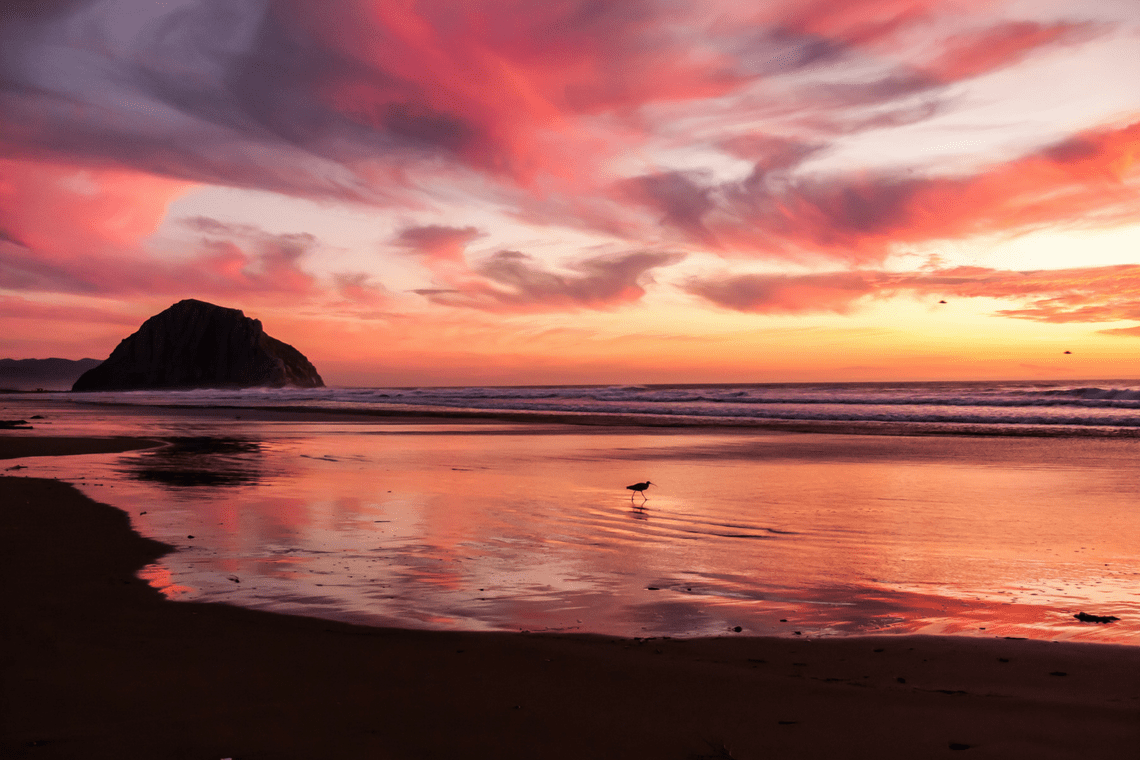 Color Combination Fiery Sky - Canva's Design Wiki