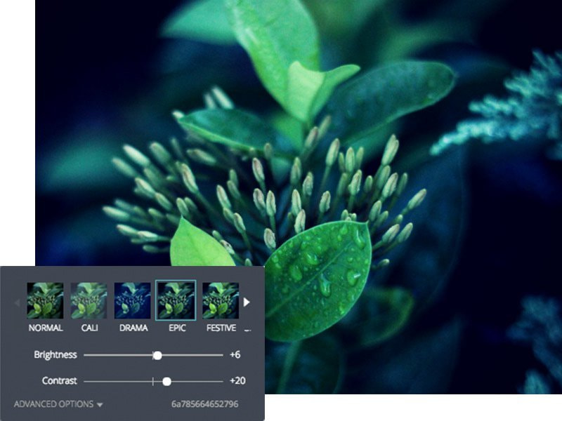 Filtres & effets photo en ligne : sublimer vos images - Canva
